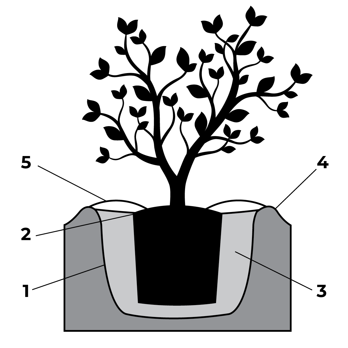 Planting Information