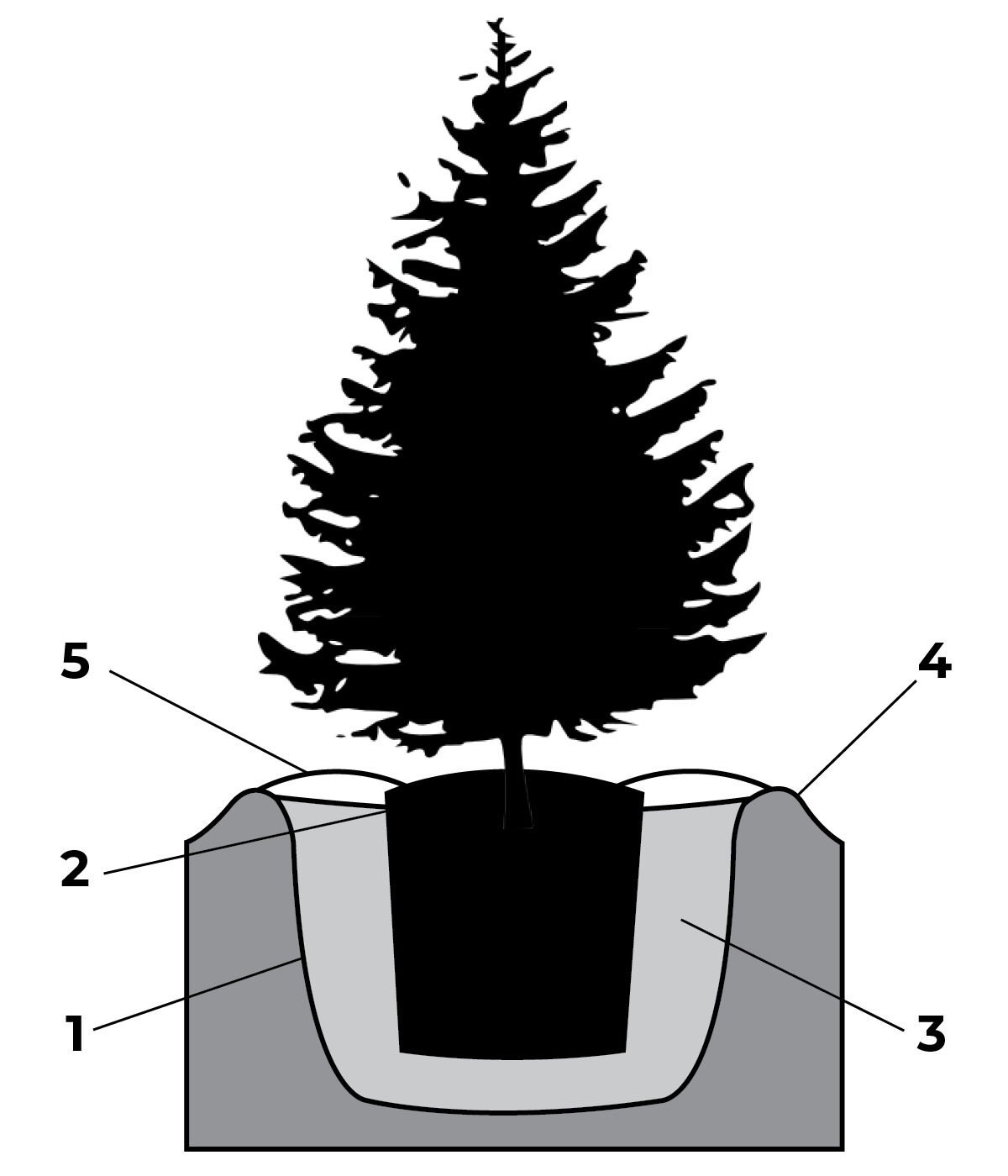 Planting Information