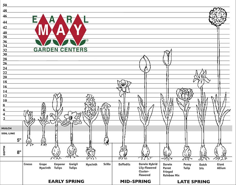 Planting Information
