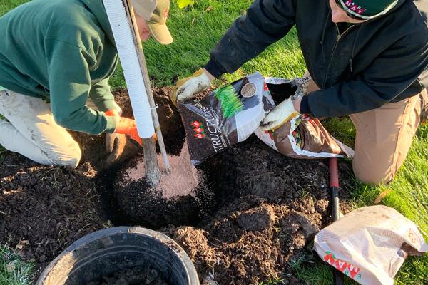 Garden Calendar and Lawn Maintenance | Earl May