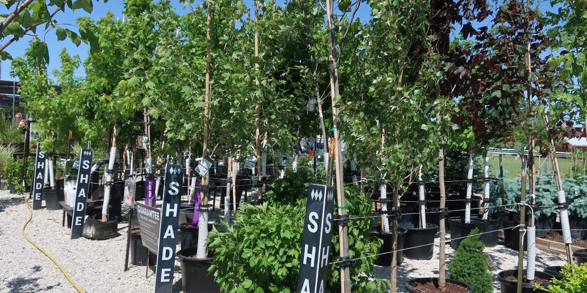 Carroll, IA Garden Center | Earl May