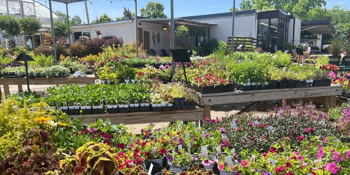 Omaha, NE Garden Center | Earl MayOmaha, NE Garden Center | Earl May