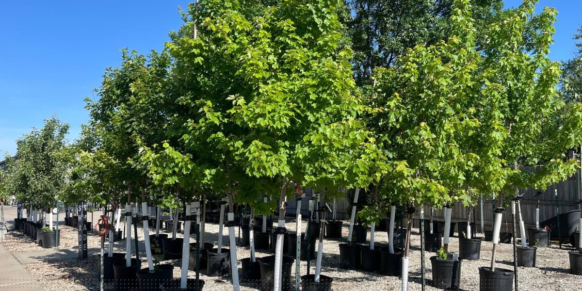 Columbus, NE Garden Center | Earl May