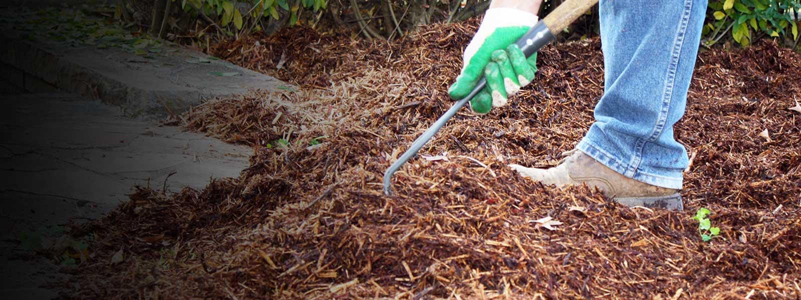 Earl May Garden Centers | Lawn & Garden Experts