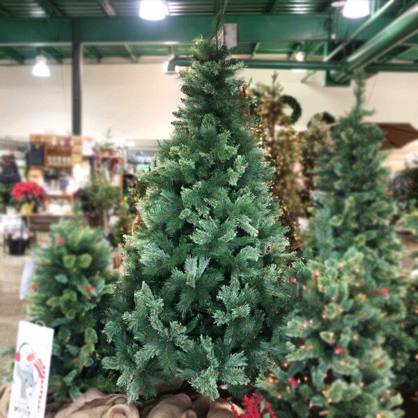7.5ft Ross Pine Christmas Tree | Earl May