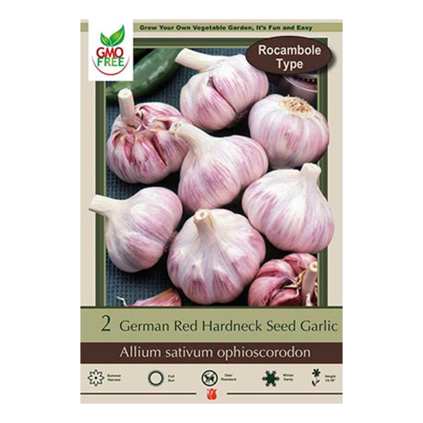 Garlic, German Red Pkg of 2 | Earl May
