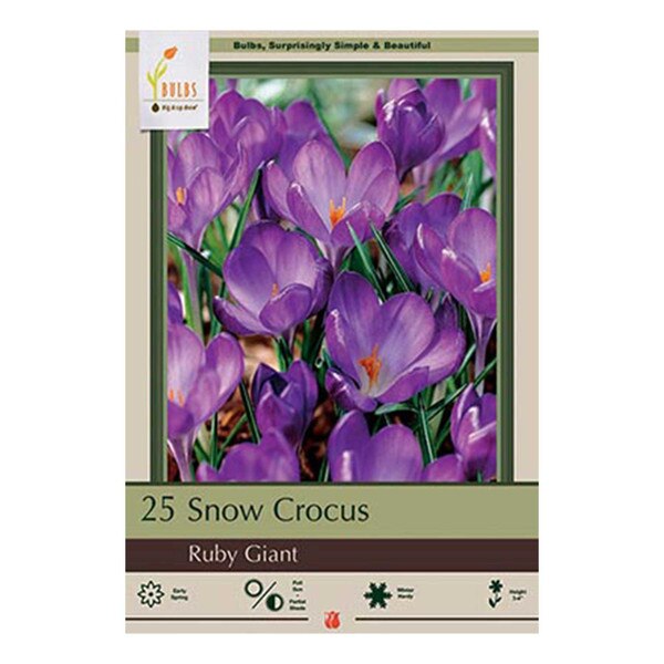 Bulbs for Lawn & Garden Online | Earl May Garden Center
