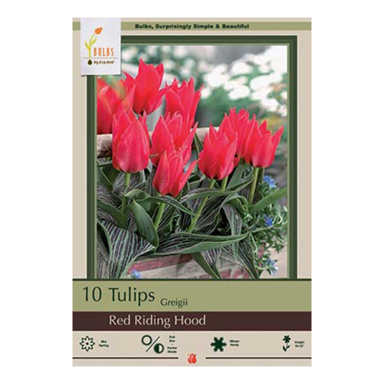 Tulip, Red Riding Hood Pkg of 8 | Earl May