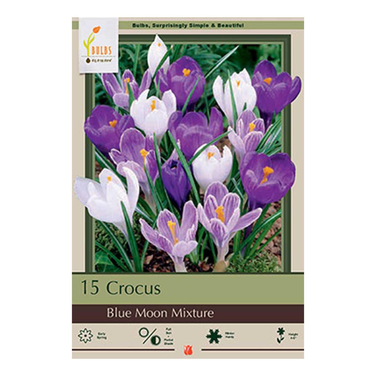 Crocus, Blue Moon Mix Pkg of 15 | Earl May