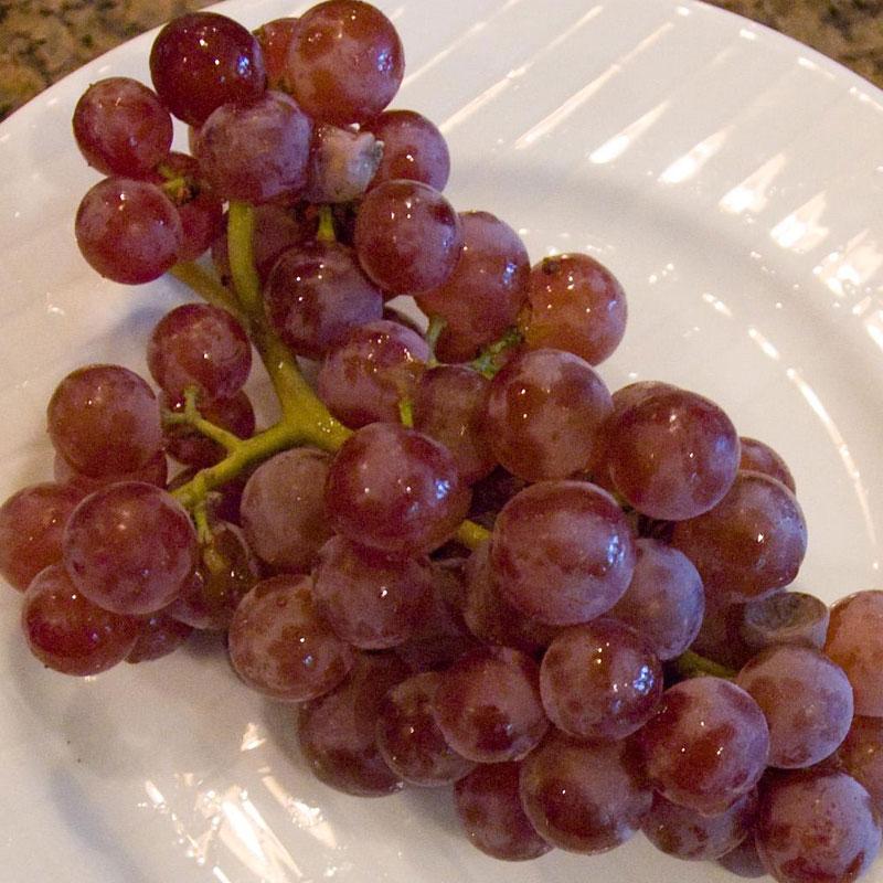 Reliance Seedless Grapes | Earl May Garden Center