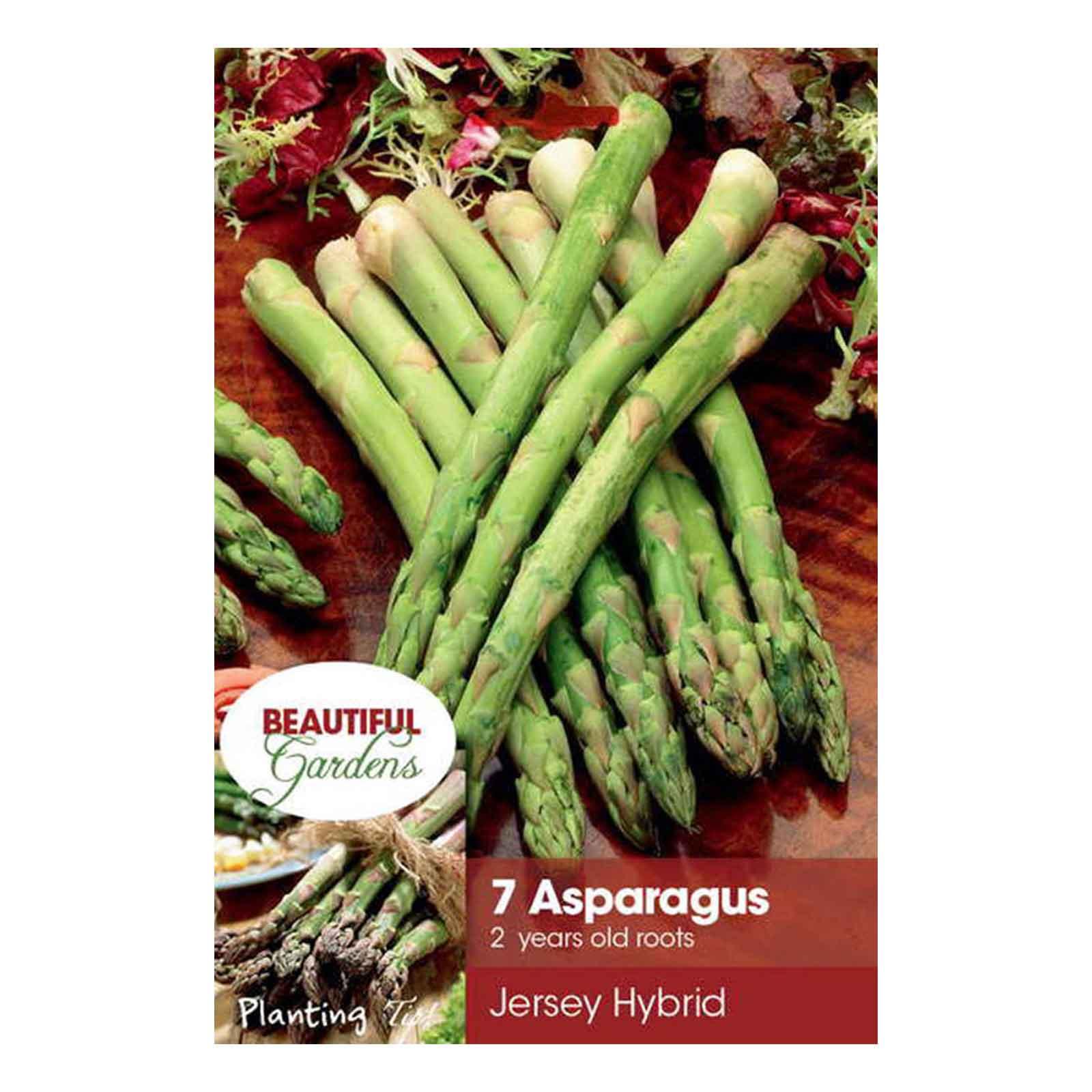 Asparagus Root