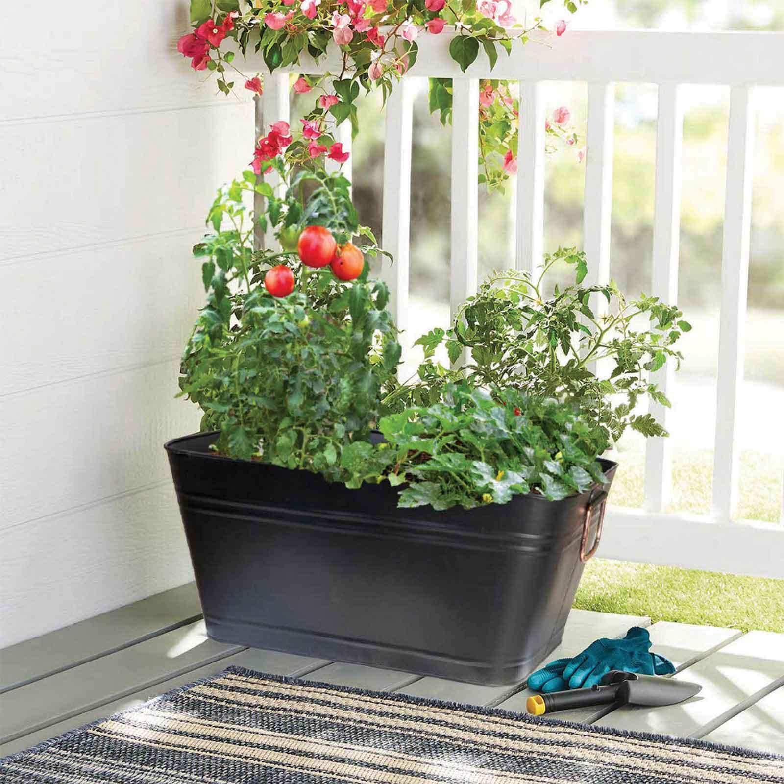 Raised Garden - Rectangular Planter/Beverage Tub | Earl May