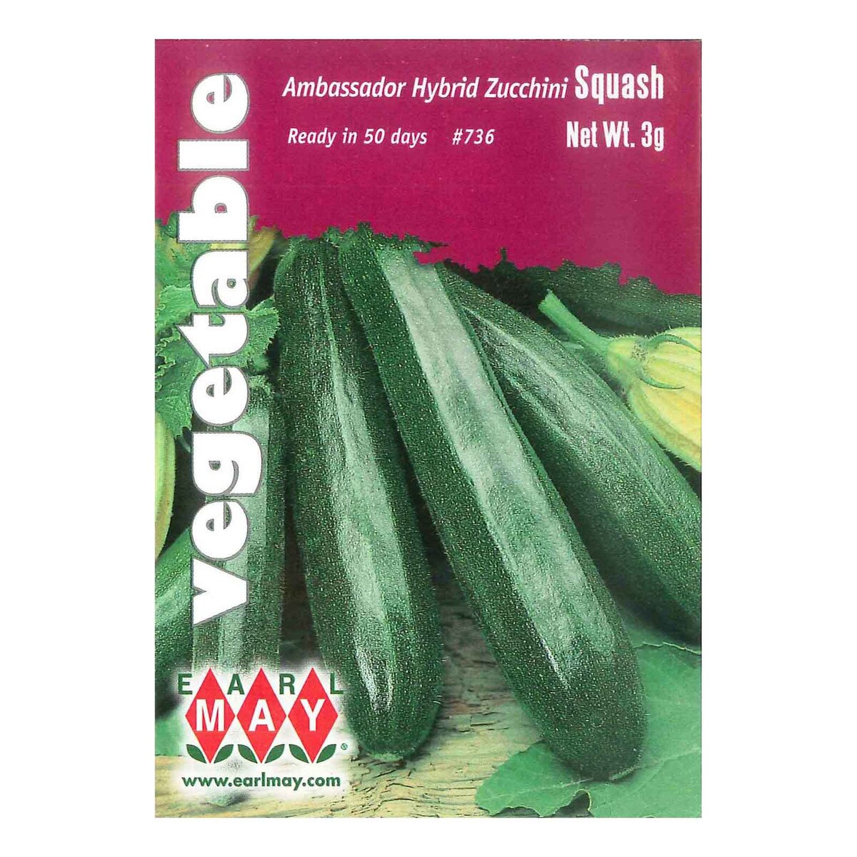 Squash - Ambassador Hybrid Zucchini Seeds